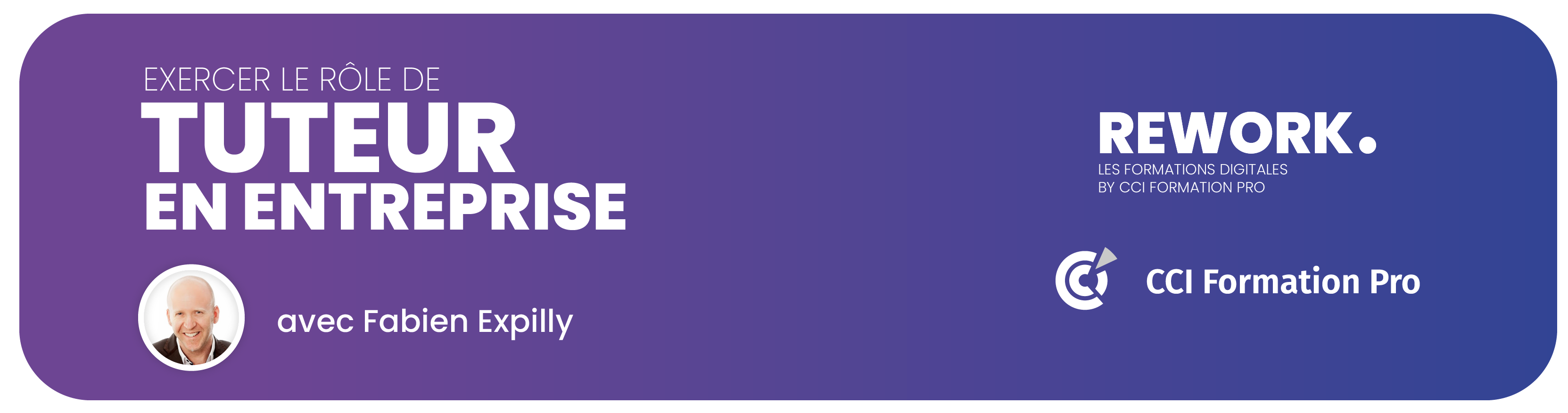 FORMATION DISTANCIELLE : Exercer le rôle de Tuteur en Entreprise/Maître d'Apprentissage - CCI ...